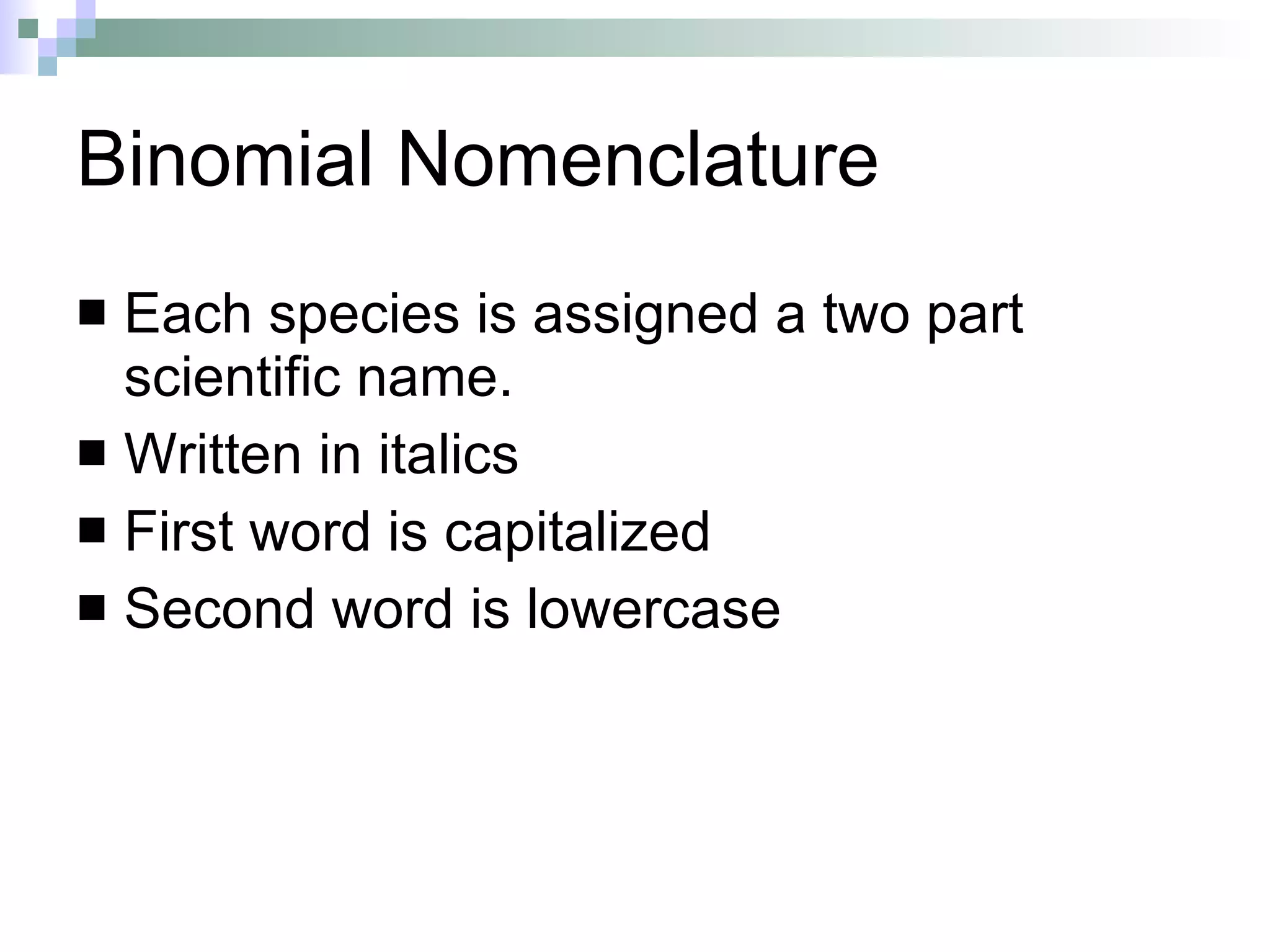 Phylogeny And Classification Ppt