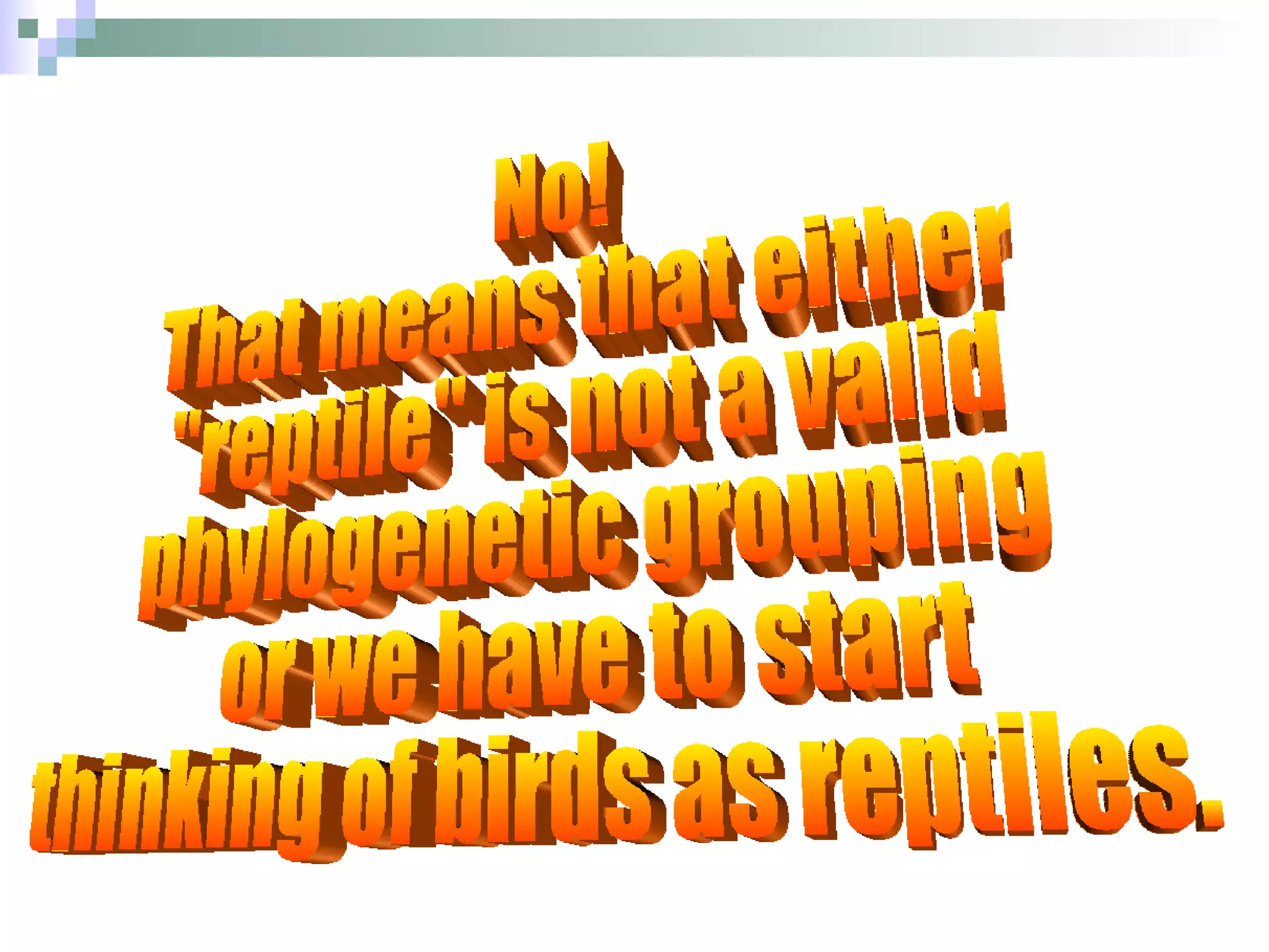 Phylogeny & classification | PPT