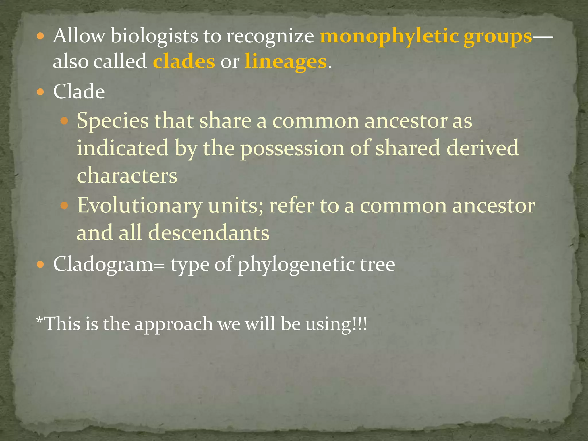 Phylogeny & development | PPT