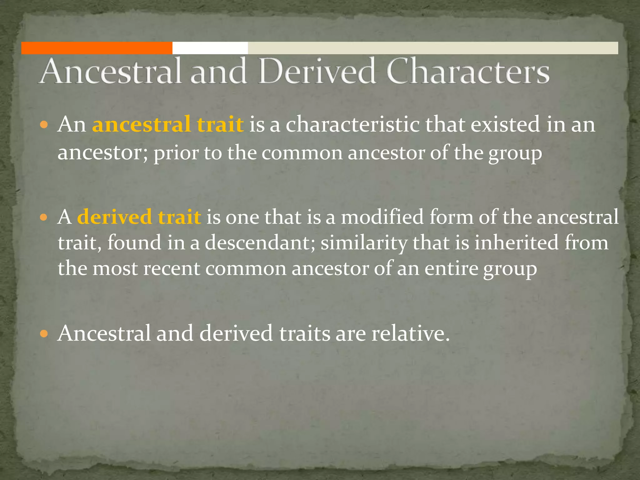 Phylogeny & development | PPT