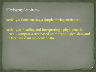 Phylogeny & development | PPT