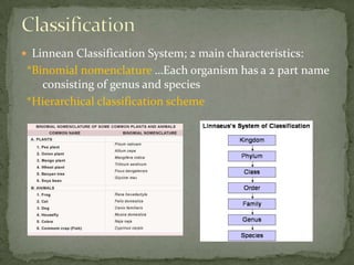 Phylogeny & development | PPT