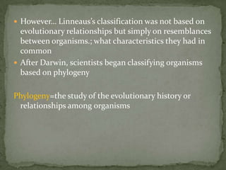 Phylogeny & development | PPT
