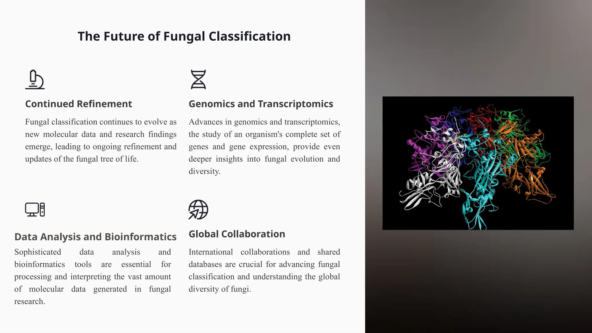 Evolution and Phylogeny of fungi- An Evolutionary history of fungi | PPTX
