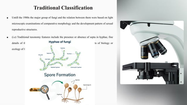 Evolution and Phylogeny of fungi- An Evolutionary history of fungi ...