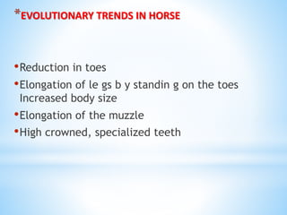 Phylogeny of horse | PPTX
