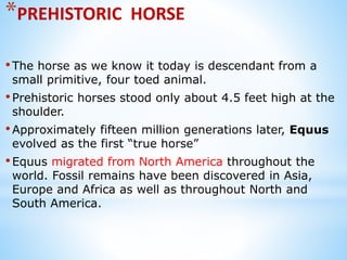 Phylogeny of horse | PPTX