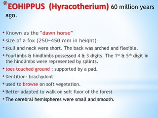 Phylogeny of horse | PPTX