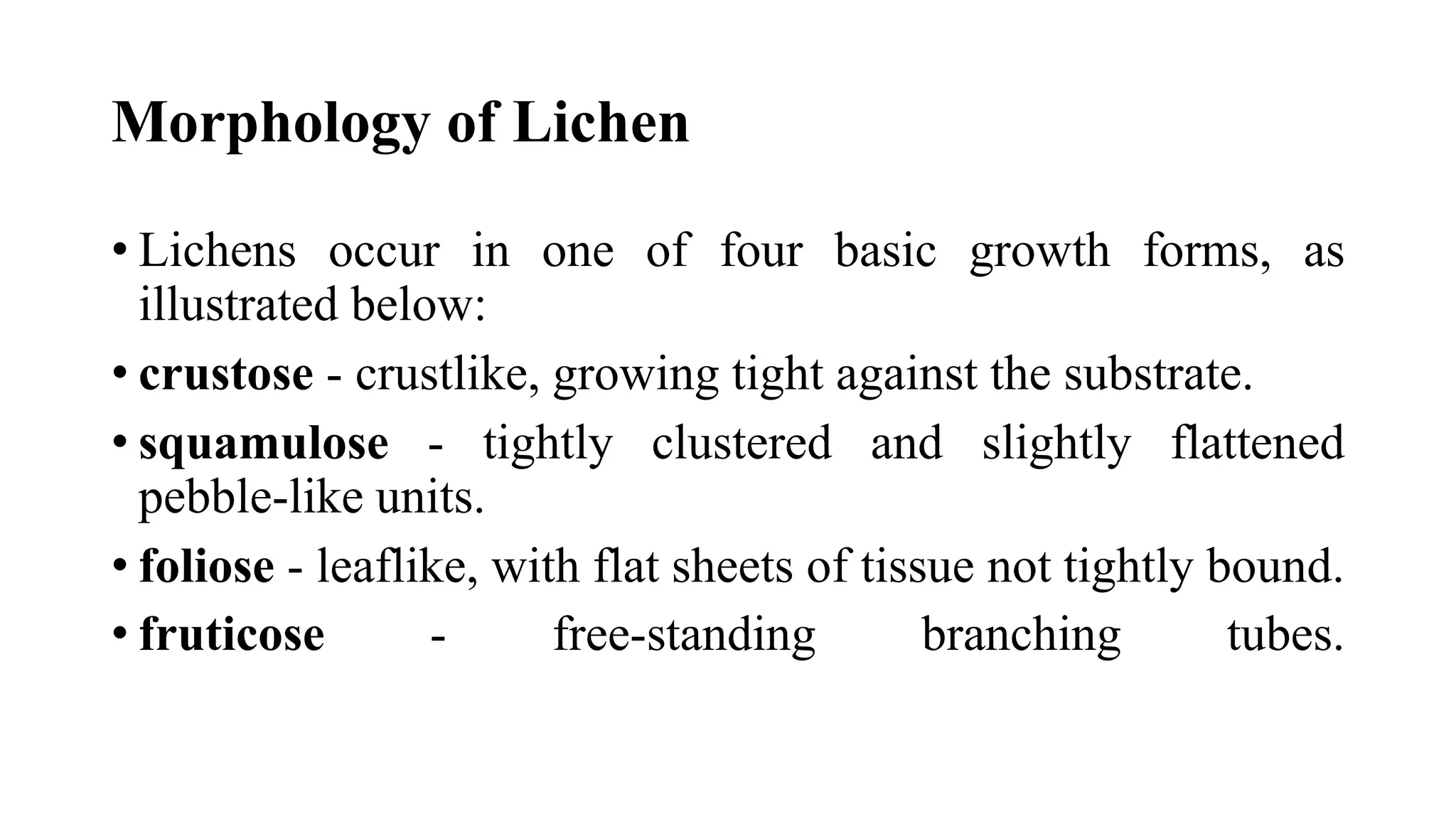Phylogeny of lichen ppt | PPT