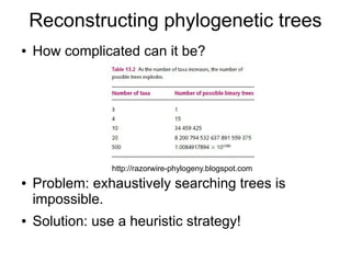 Phylolecture | PPT