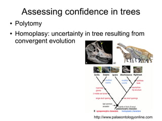 Phylolecture | PPT