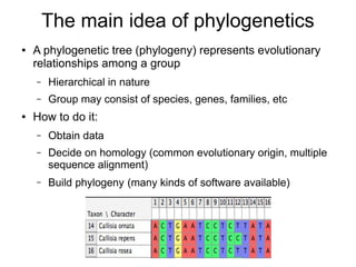 Phylolecture | PPT