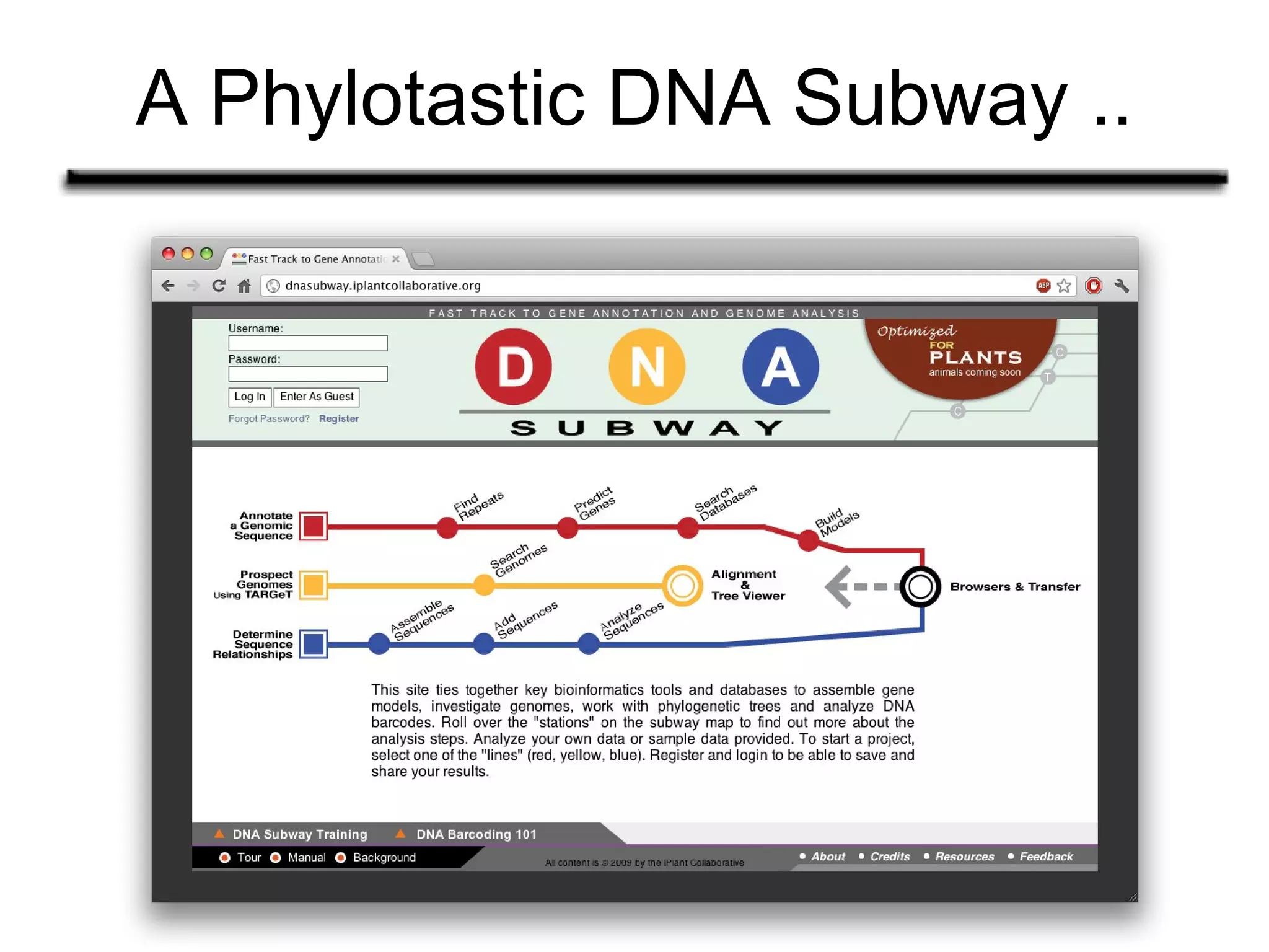 Phylotastic reconciliation | PPT