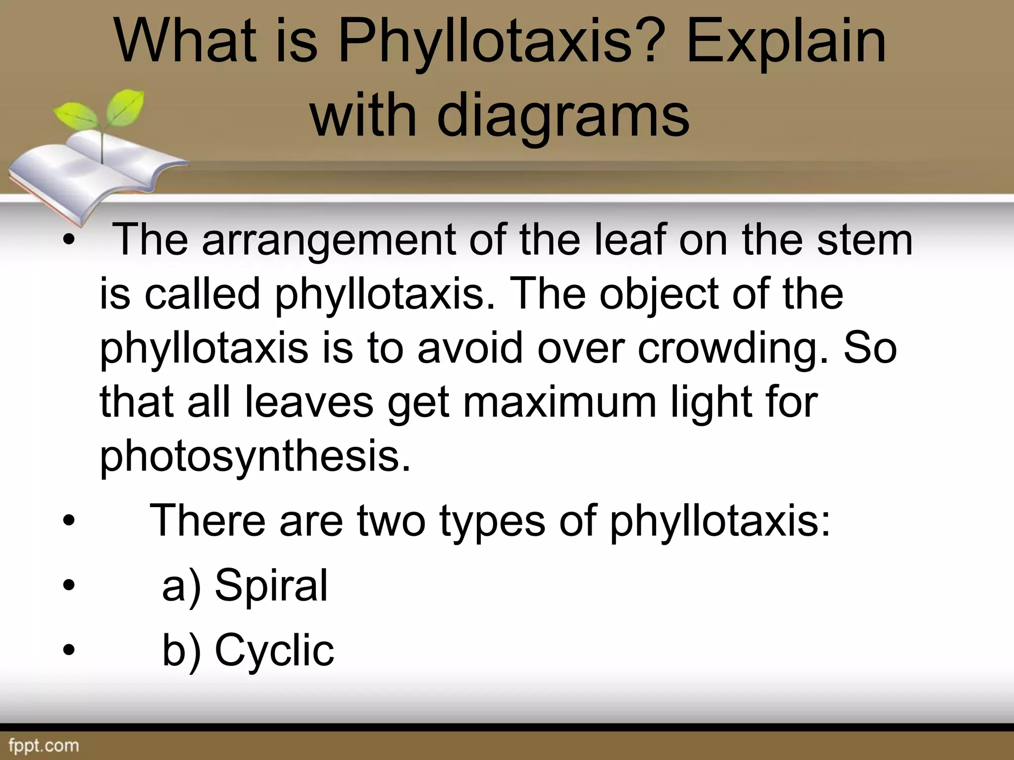 Phylotaxis | PDF