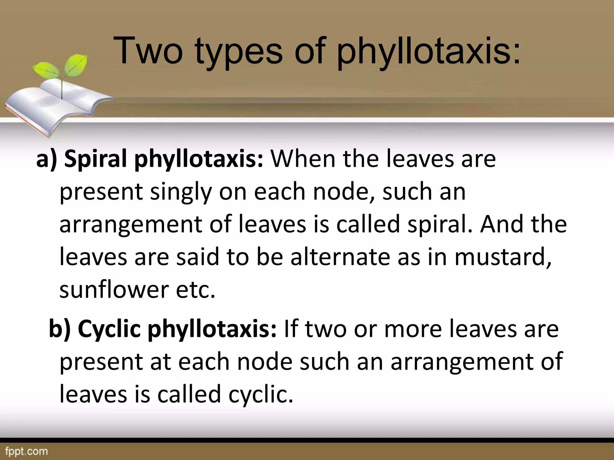 Phylotaxis | PDF