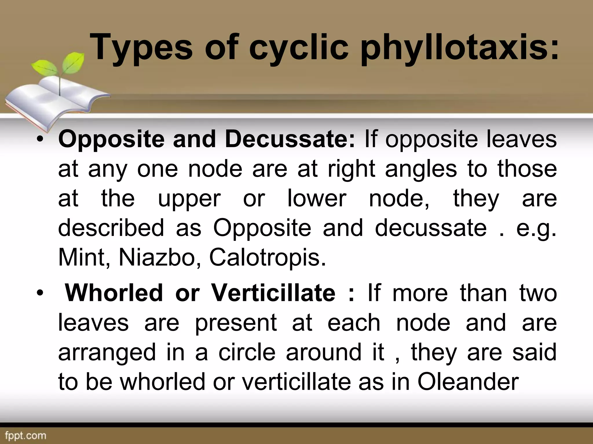 Phylotaxis | PDF