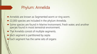 Phylum-Annelida.pptx