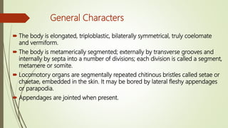 Phylum-Annelida.pptx