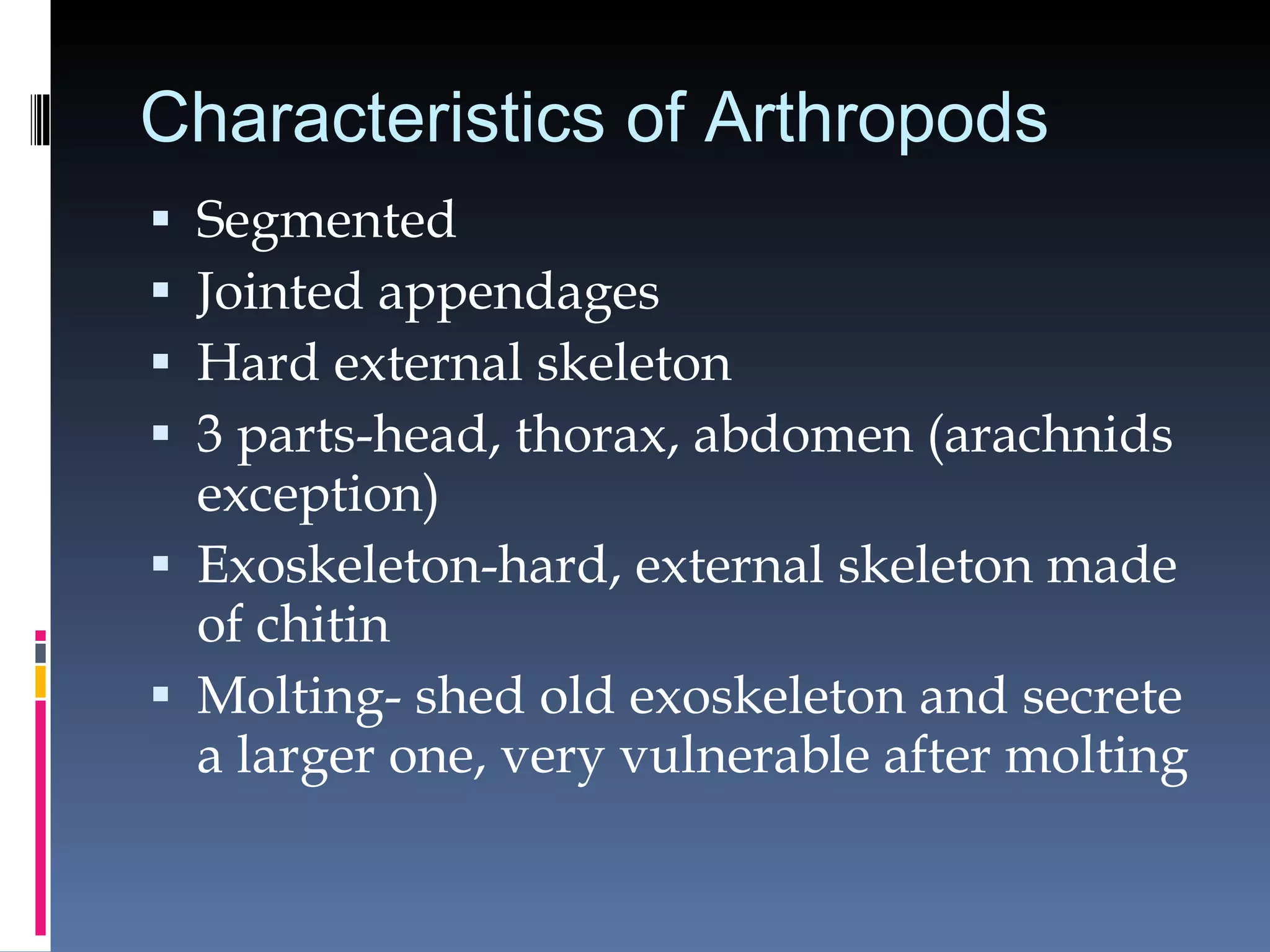 Phylum arthropoda | PPT