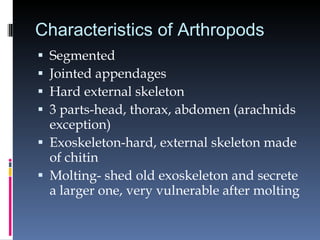 Phylum arthropoda | PPT