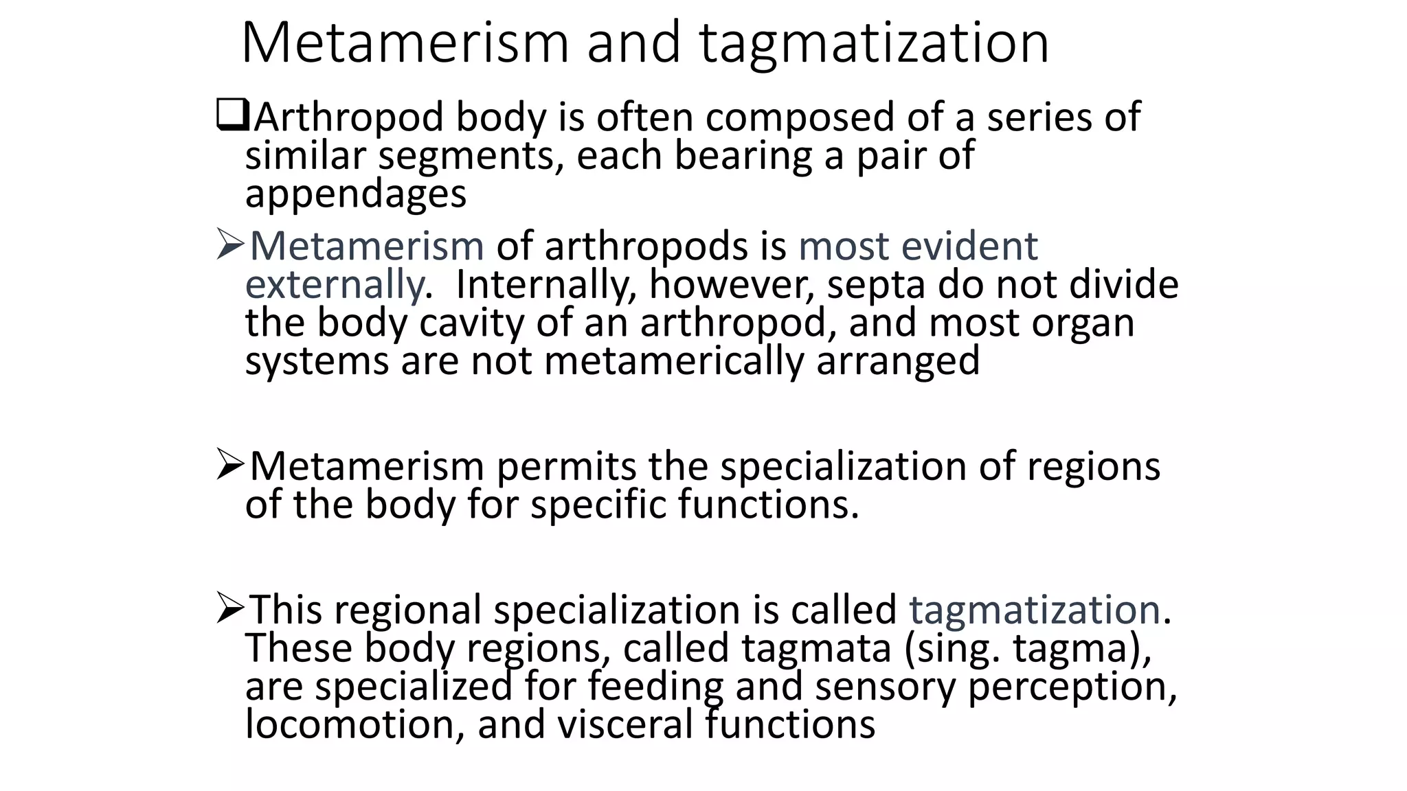 Phylum-Arthropoda 1.pptx