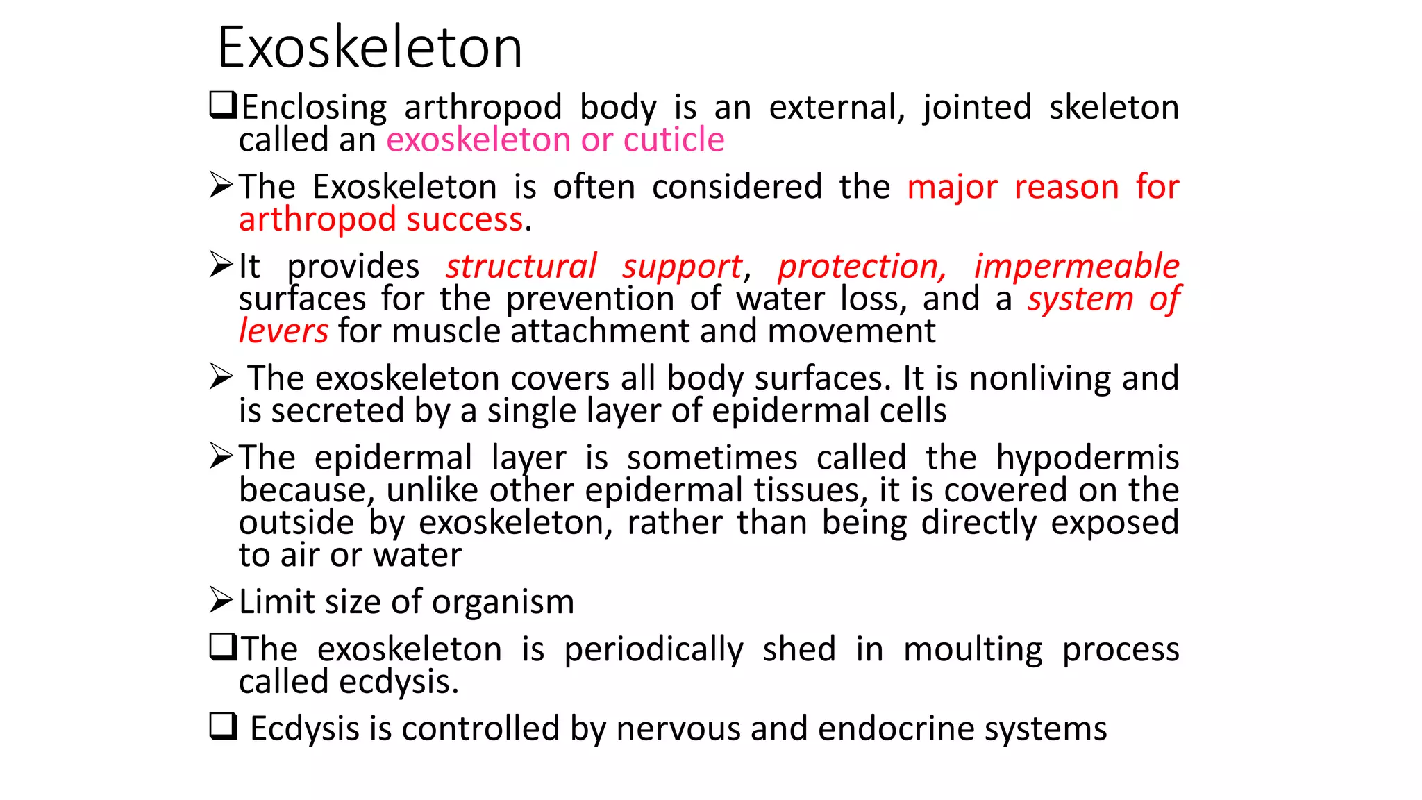 Phylum-Arthropoda 1.pptx