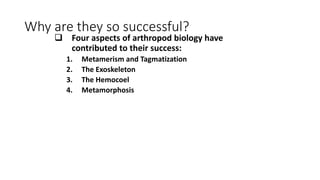 Phylum-Arthropoda 1.pptx