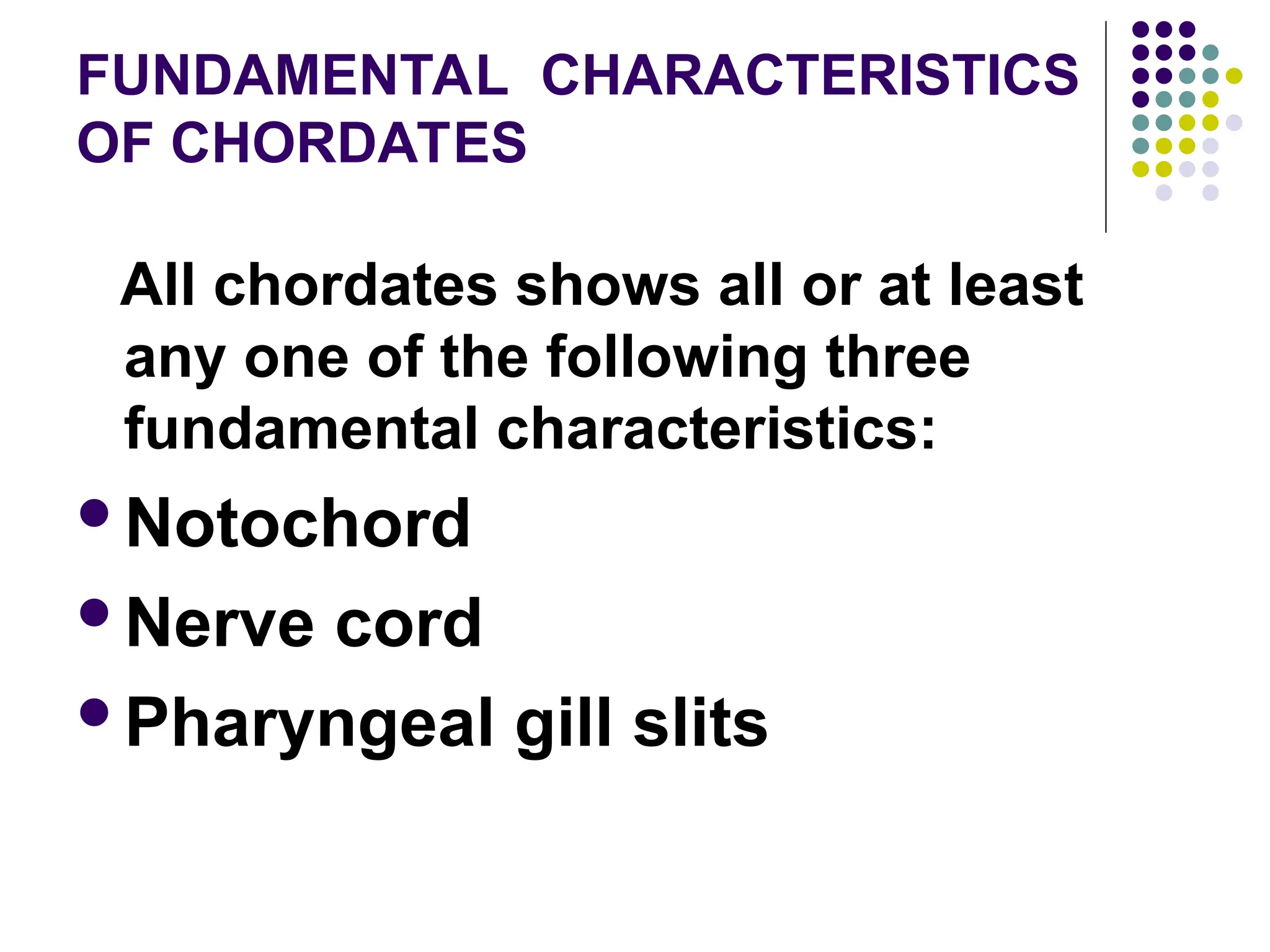 phylum-chordata-and-protochordates in diversity of chordates | PPT