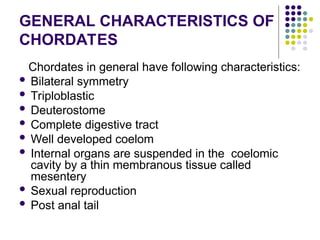 phylum-chordata-and-protochordates (1).ppt