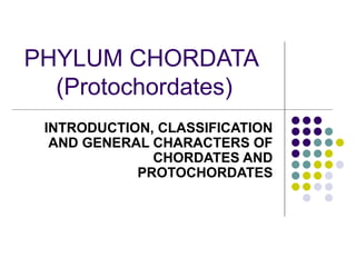 phylum-chordata-and-protochordates (1).ppt