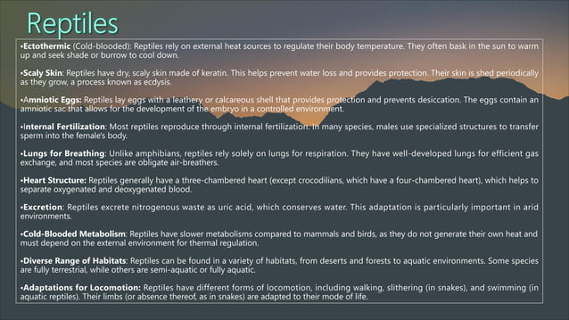 Phylum contemporary bs biology1styear.pdf