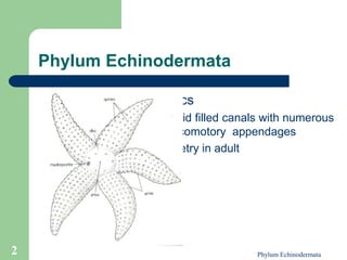 Phylum-Echinodermata1.ppt