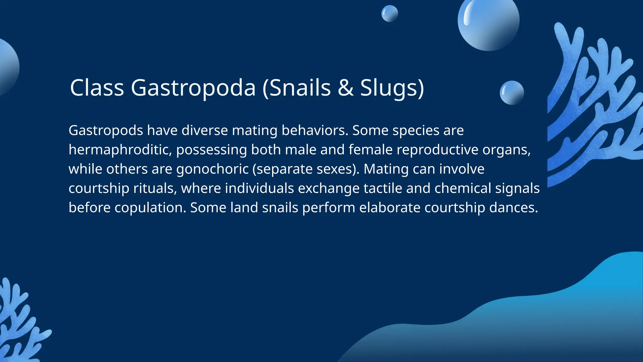 Phylum -Mollusca Taxonomy Classification.ptx