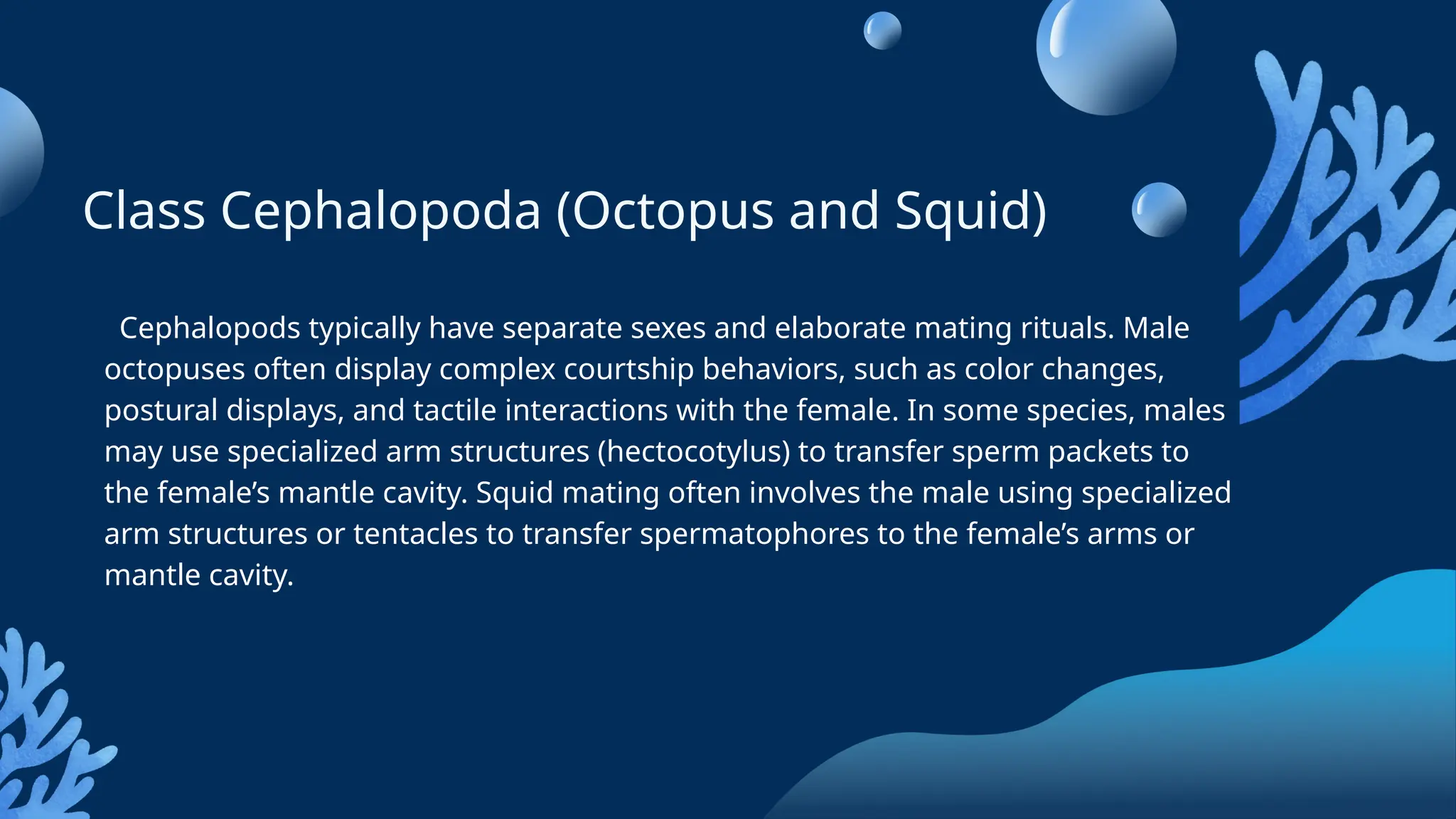 Phylum -Mollusca Taxonomy Classification.ptx