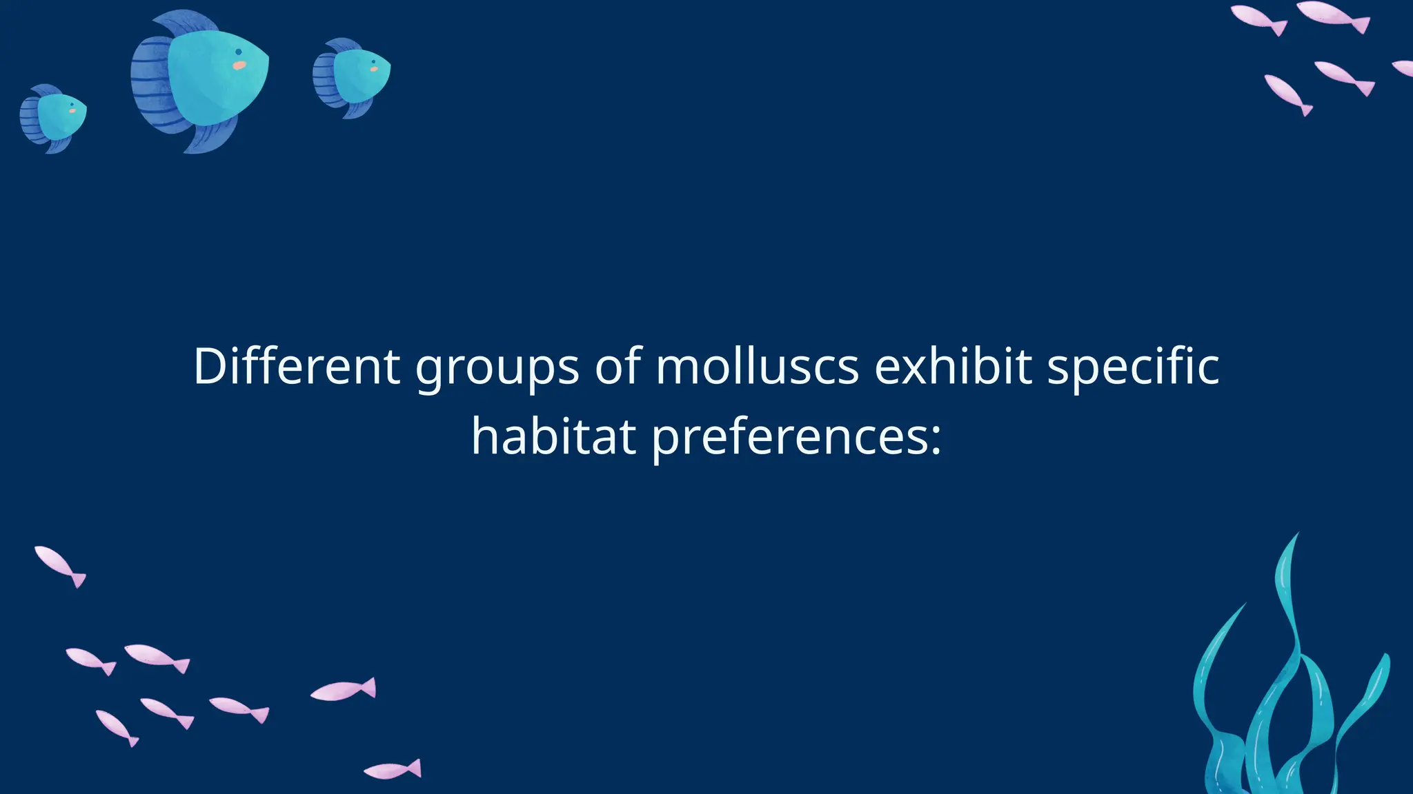 Phylum -Mollusca Taxonomy Classification.ptx