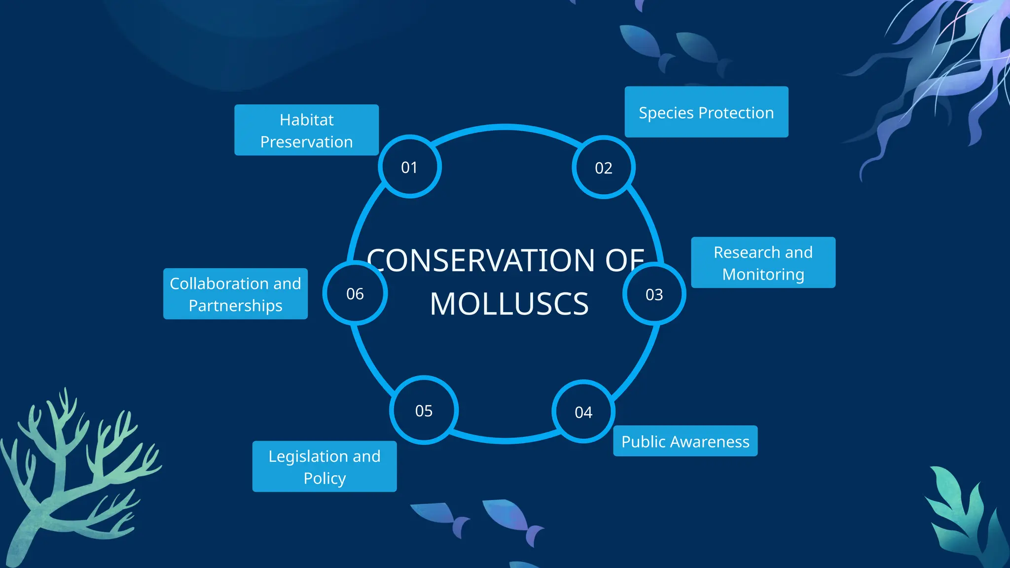 Phylum -Mollusca Taxonomy Classification.ptx