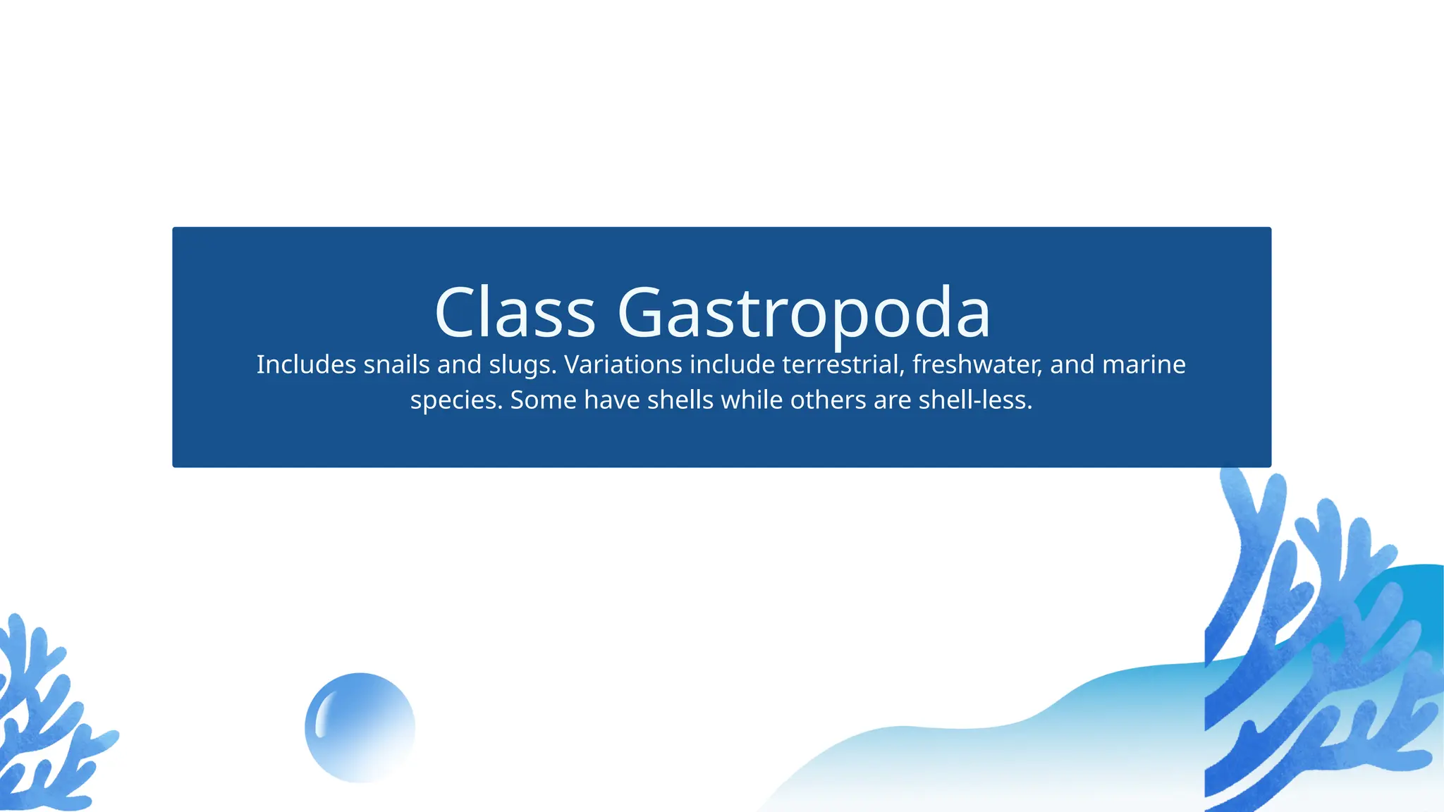 Phylum -Mollusca Taxonomy Classification.ptx