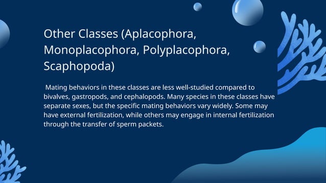 Phylum -Mollusca Taxonomy Classification.ptx