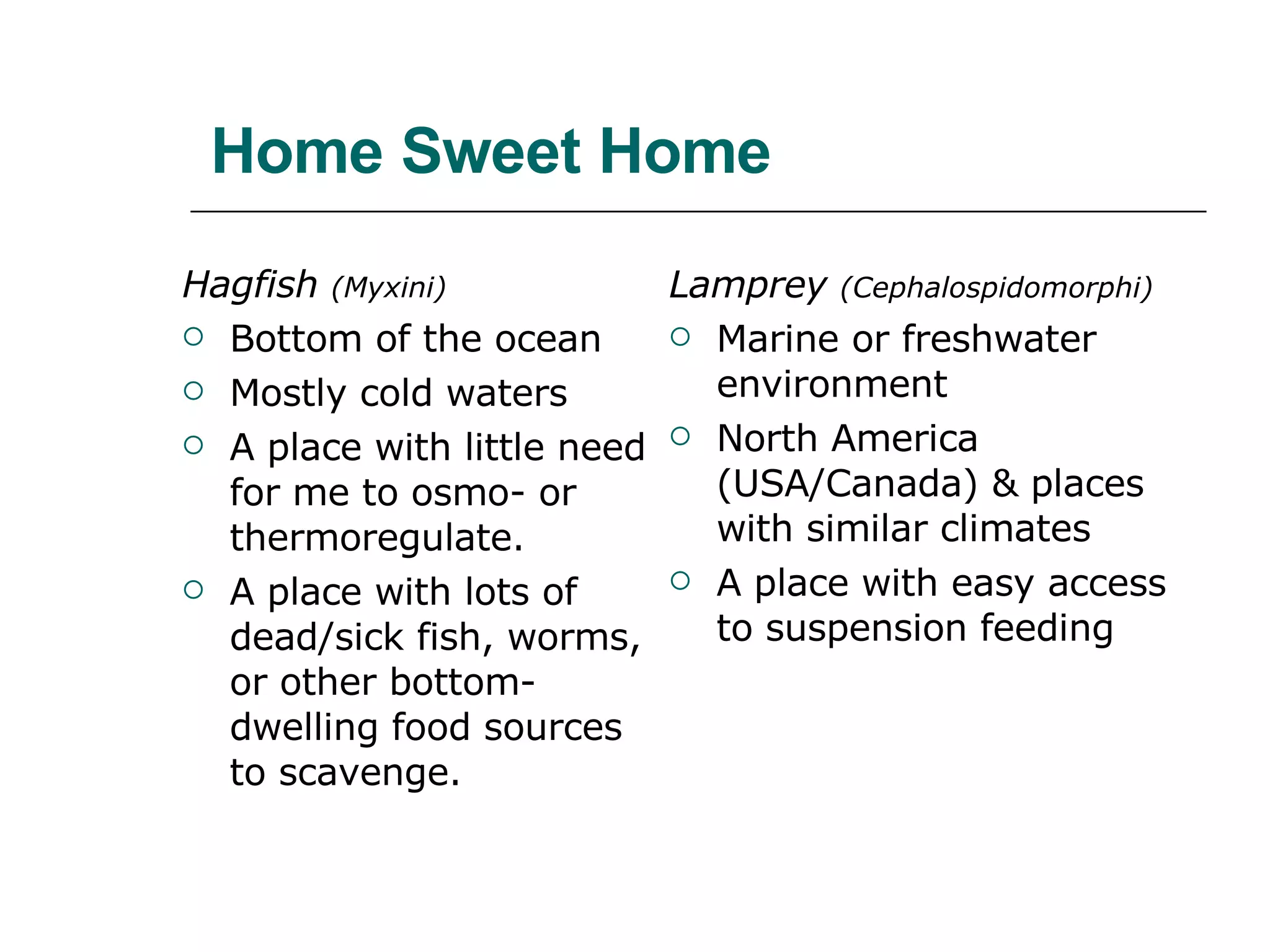 Myxini & Cephalaspidomorphi | PPT