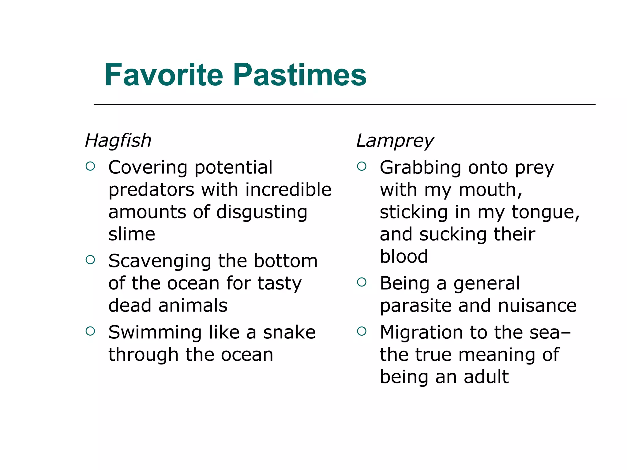 Myxini & Cephalaspidomorphi | PPT