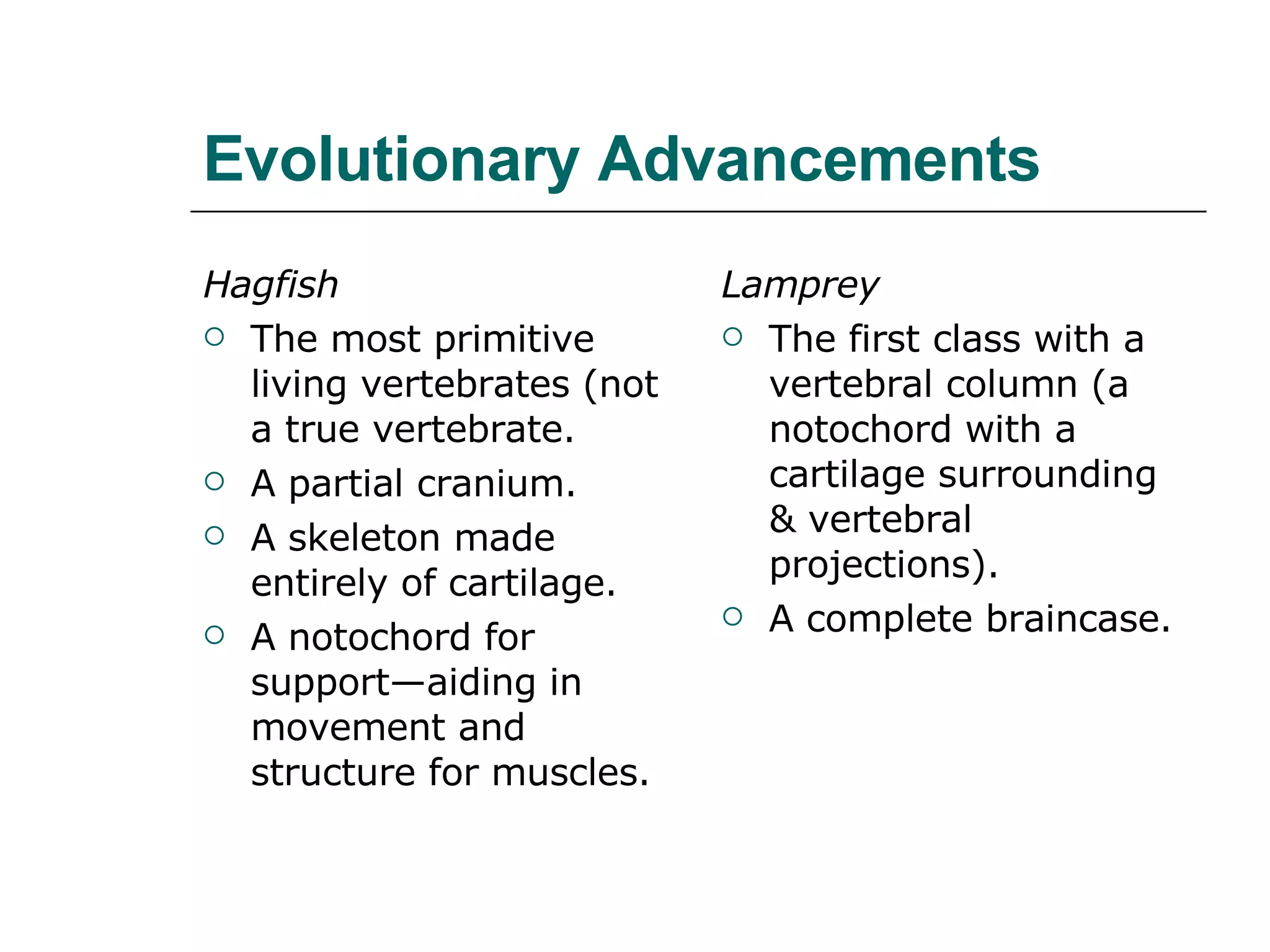 Myxini & Cephalaspidomorphi | PPT