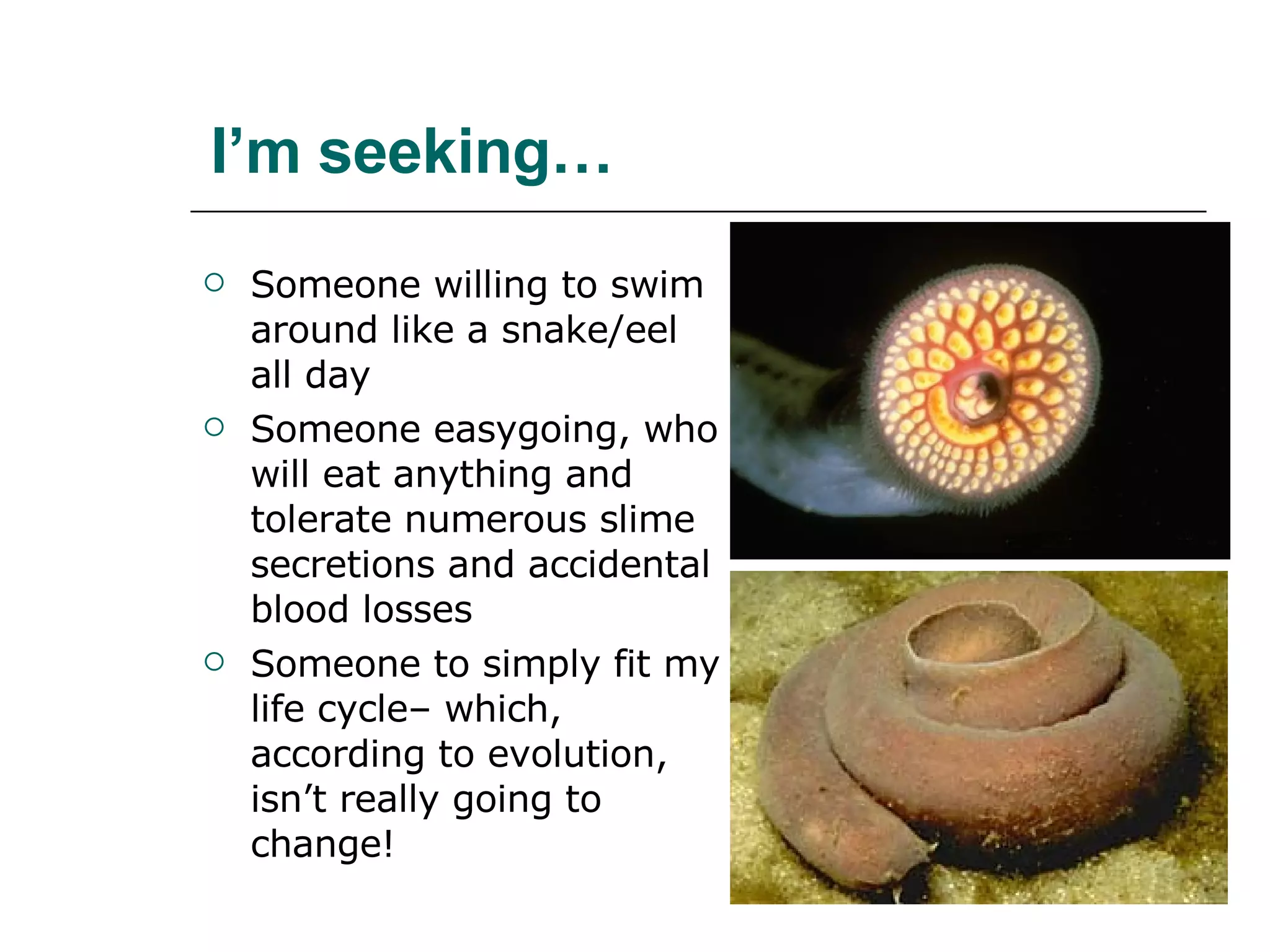 Myxini & Cephalaspidomorphi | PPT