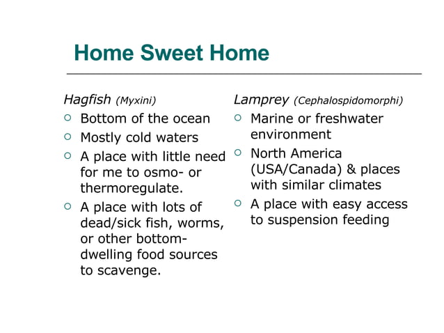 Myxini & Cephalaspidomorphi | PPT | Fish and Aquariums | Pets