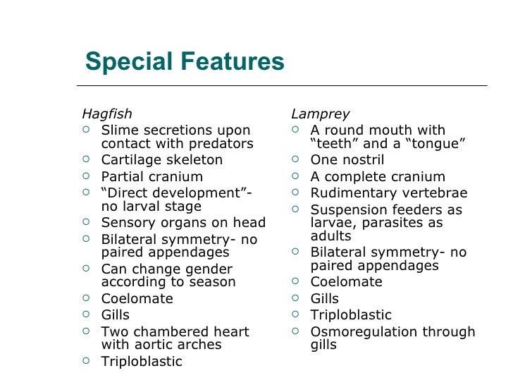 Myxini & Cephalaspidomorphi