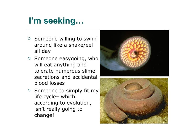 Myxini & Cephalaspidomorphi