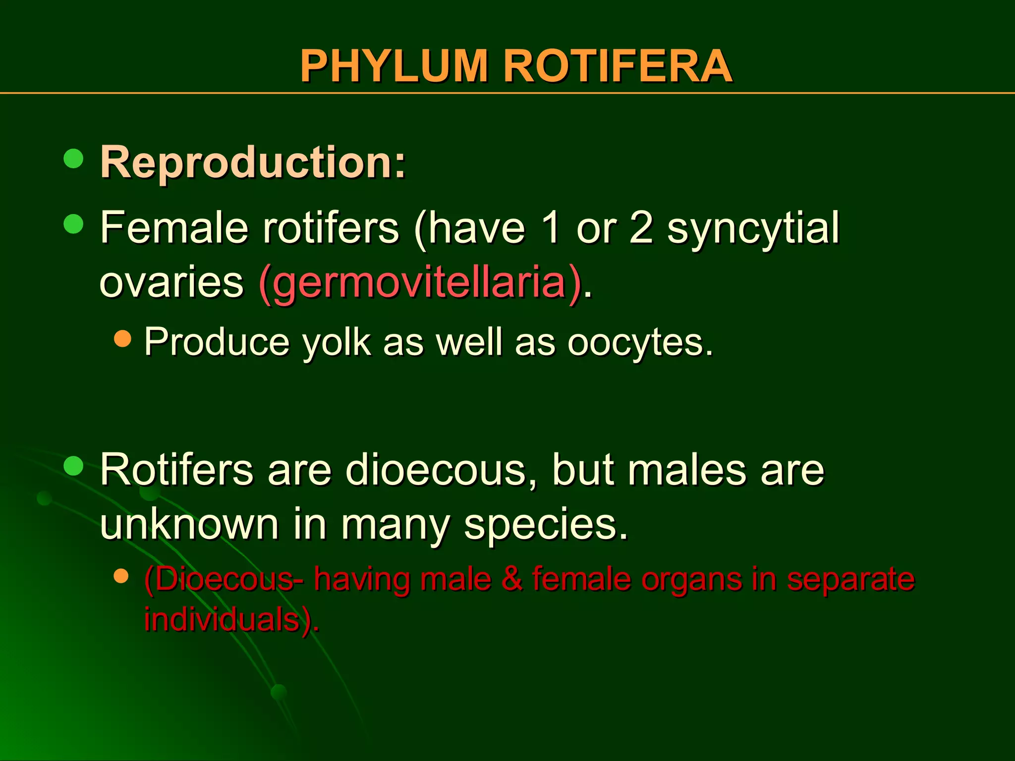 Phylum Rotifera | PPT