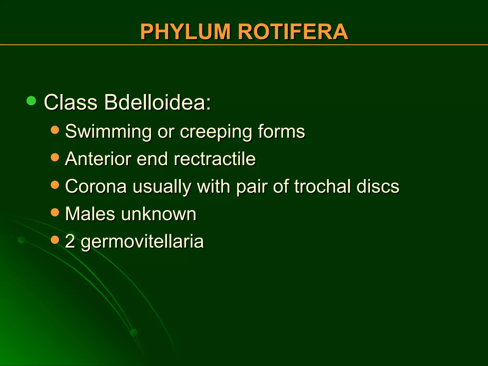 Phylum Rotifera | PPT