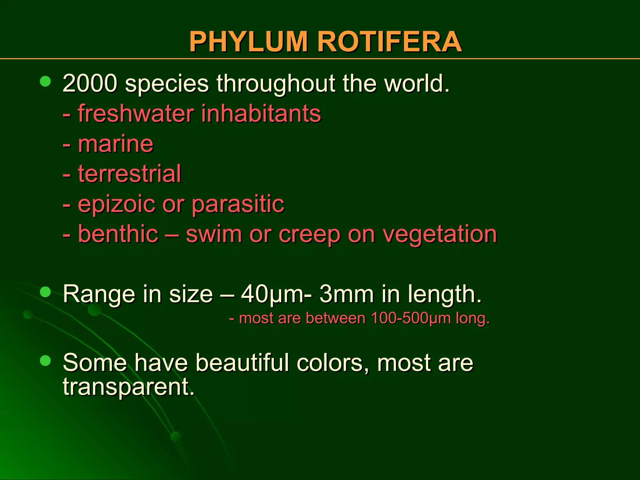 Phylum Rotifera | PPT