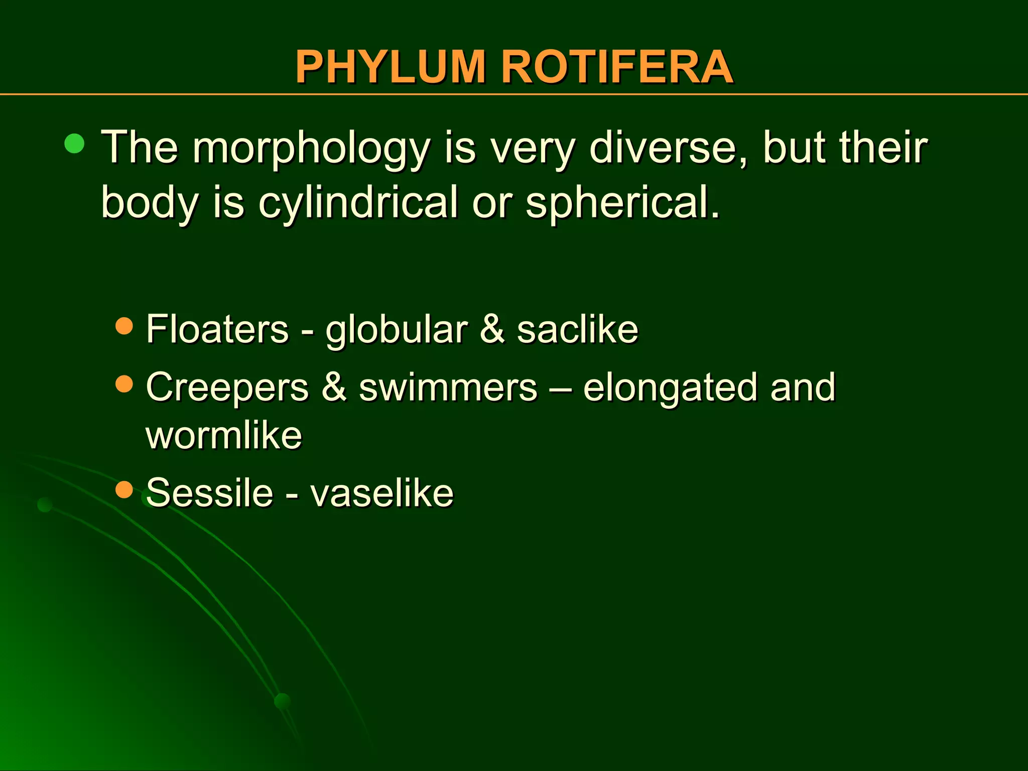 Phylum Rotifera | PPT
