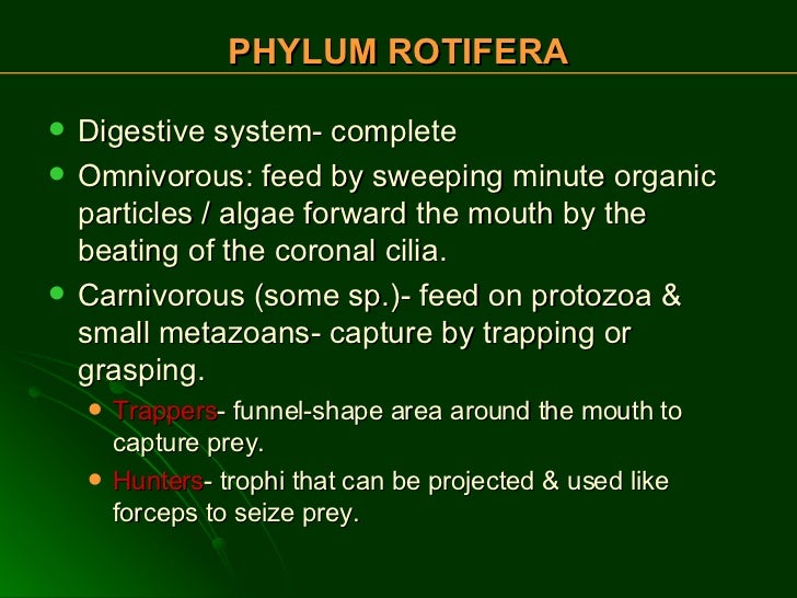 Phylum Rotifera Phylum Rotifera